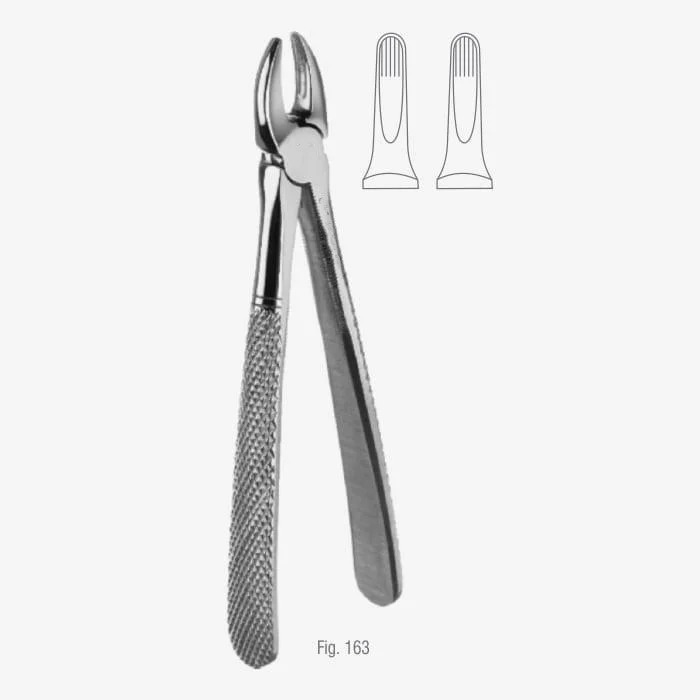 English Pattern Tooth Extraction Forceps Fig. 163 – Rayed Instruments