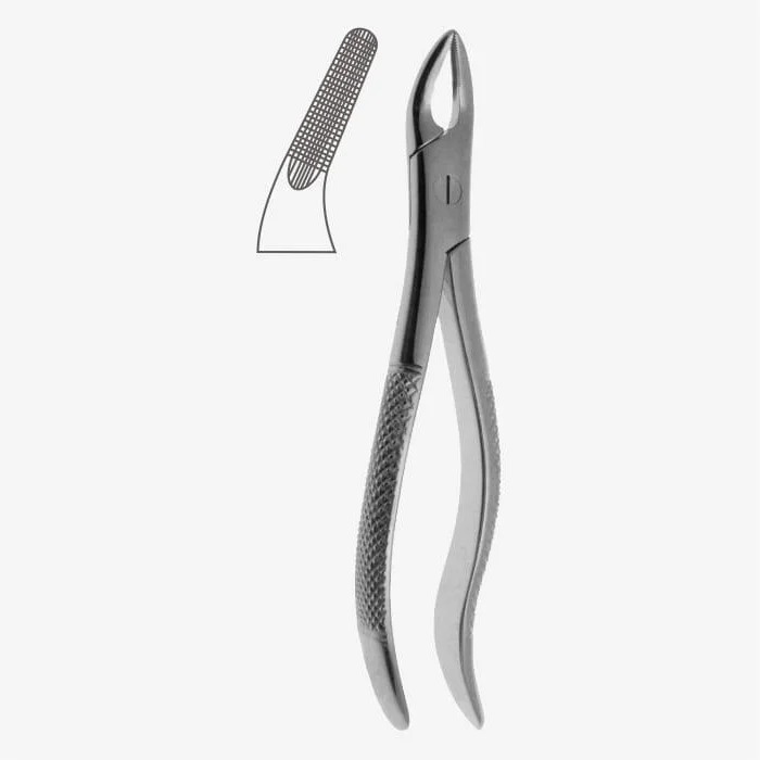 English Pattern Tooth Extraction Forceps Fig. 76N – Rayed Instruments