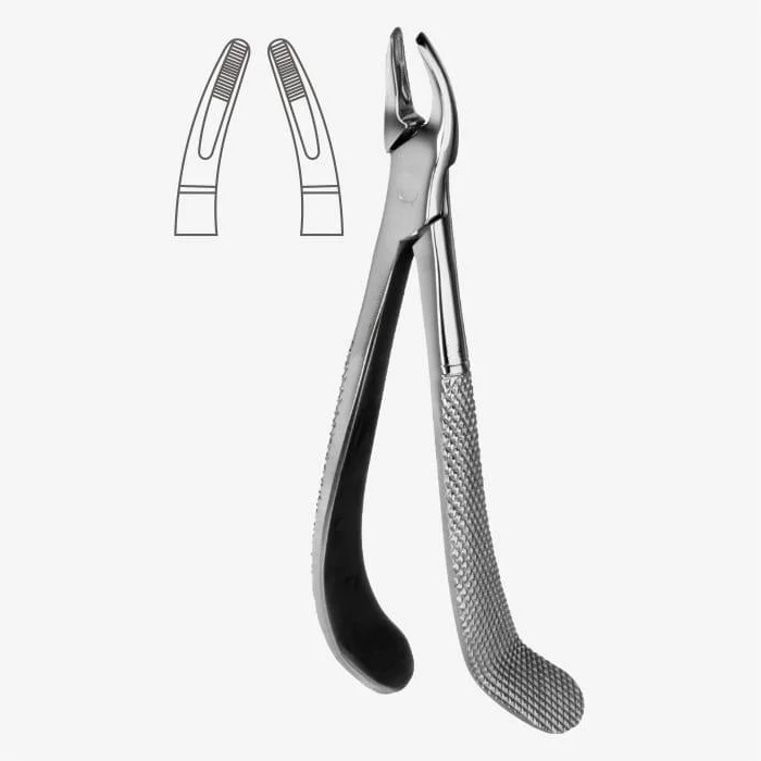 English Pattern Tooth Extraction Forceps Fig. 76S – Rayed Instruments